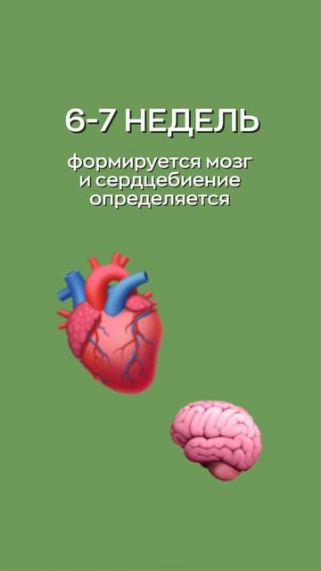 Загадка беременности: почему она длится именно 9 месяцев, а не как у как у Беллы из саги “Сумерки”