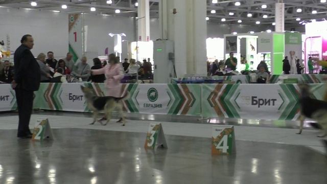 Сравнение рабочего класса