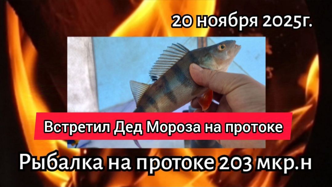 Рыбалка 20.11.25г. Встретил Дед Мороза на рыбалке!