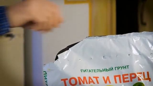 4 серия Добрый урожай