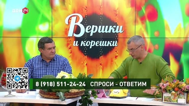 Вершки и корешки 20.11.2025 - Редис