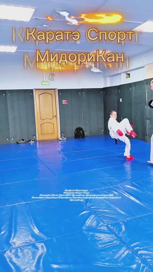 Karate Sport вертушка Tobi Mawashi Ushiro Geri
