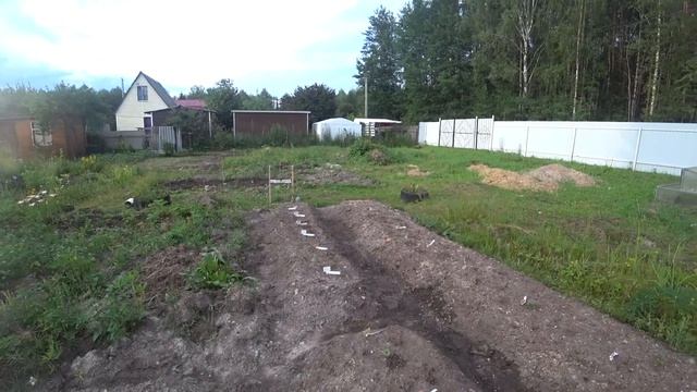 26-2023 ЛИЛИИ из питомника!_ Как прижилась КЛУБНИКА_ __ Elena Pero