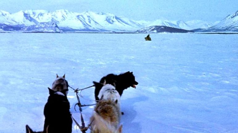 1994 год. Гонка на собаках "Берингия". Переход через Авачинский перевал.