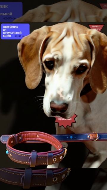 1ралька в рекламе