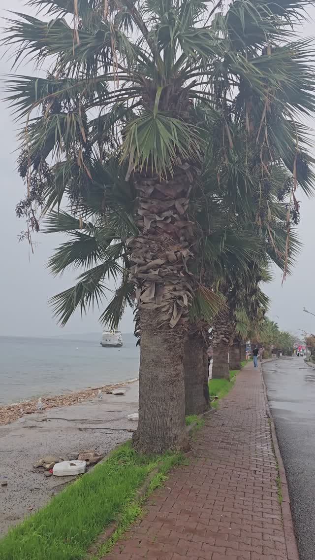 Принцевы острова (остров Кыналыада), ноябрь 2025