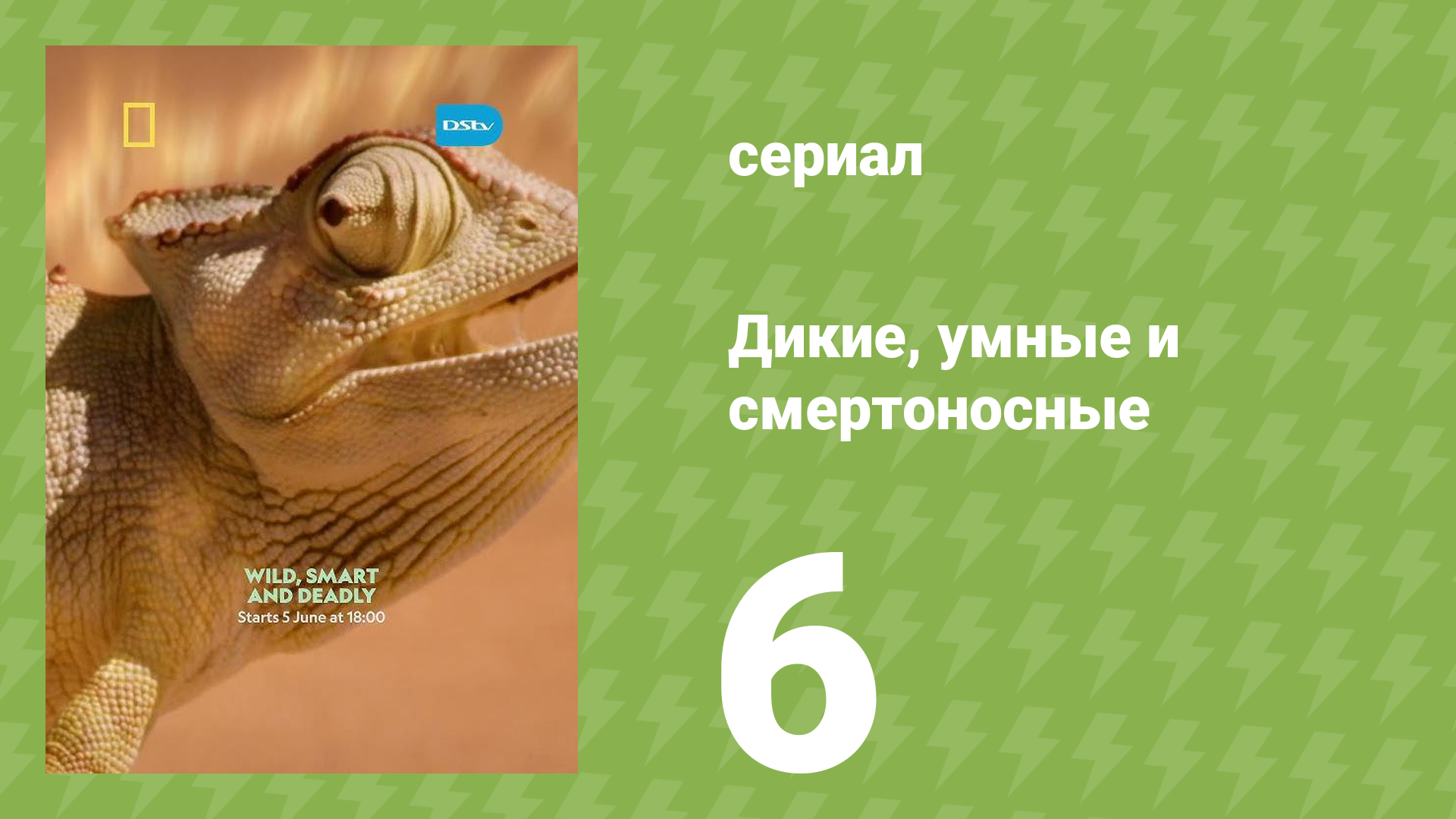 Дикие, умные и смертоносные 1 сезон 6 серия (документальный сериал, 2024)