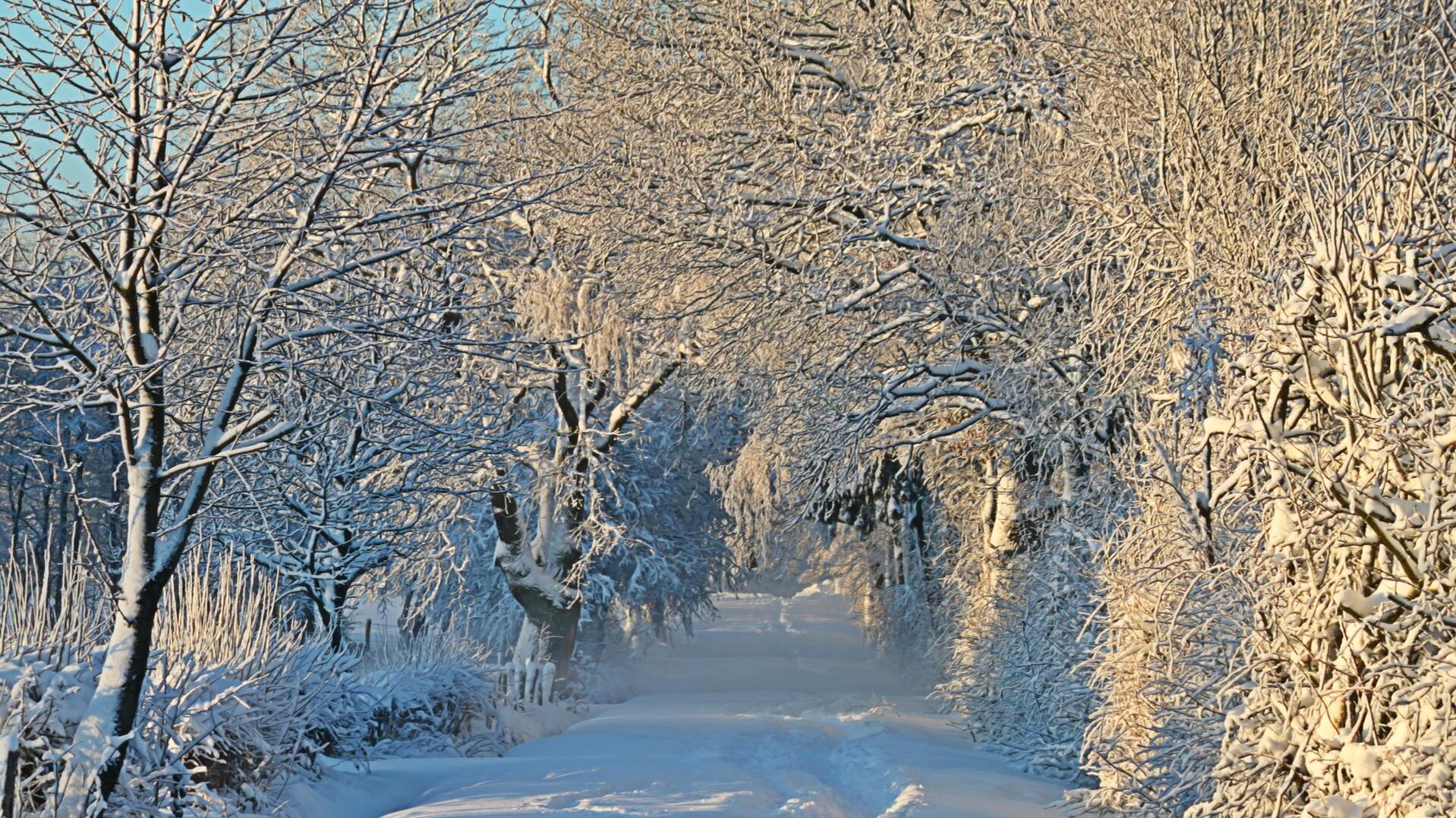 Yakuro — White...The Color of Time