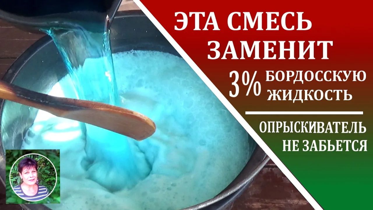 Бордосская смесь 3% забивает опрыскиватель. Чем ее заменить при осенней обработке ягодников