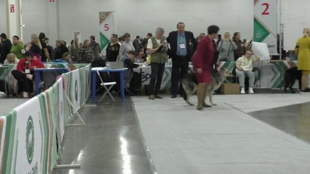 Посадский Страж Ирма