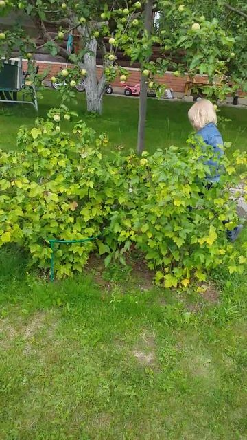 маленькие кролики