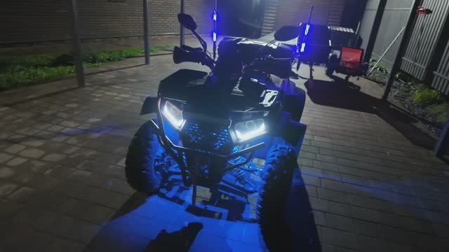 Квадроцикл 200 кубов - отзыв после года эксплуатации на примере Yacota Viking 200 (Якота Викинг)