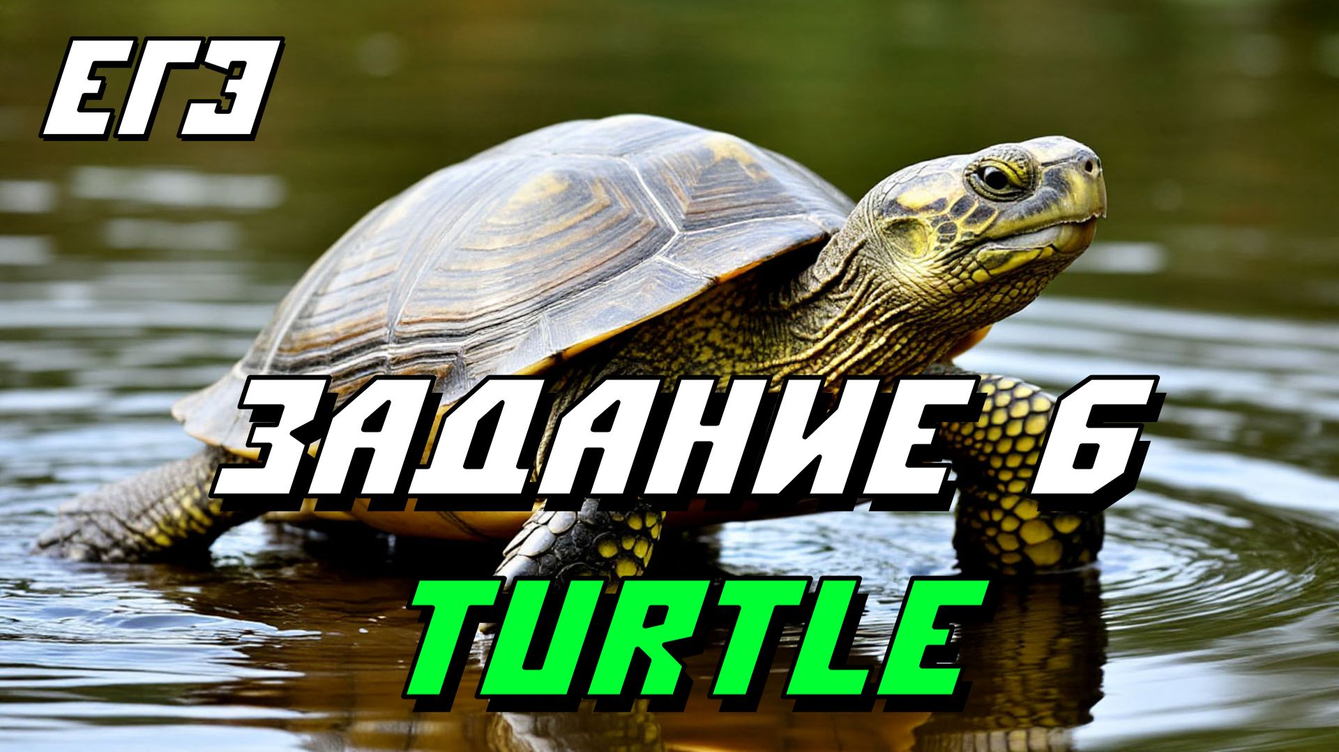 Задание 6 ЕГЭ Информатика на Python через Turtle