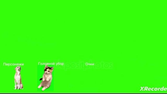 Кат ган 2 тест