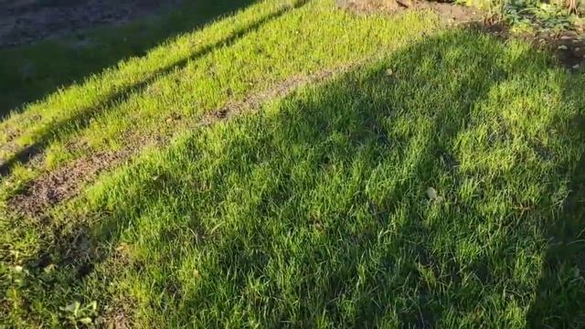 25-Дача закрытие сезона.. 🍁🍁🍁