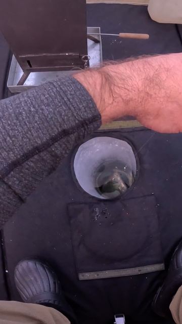 Встал на лещовую точку