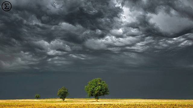 311 письмо любви / 311 litterae amoris / 311 letero de amo