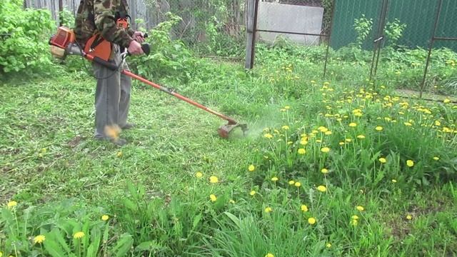 Косьба одуванчиков на даче бензиновым триммером