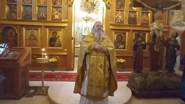 Проповедь иерея Игоря Спартесного - Неделя 22-я по Пятидесятнице (09.11.2025)