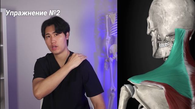 Здоровье мозга: важность кровоснабжения для ясности ума