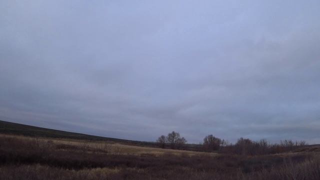 Охота на зайца- Прощальный кульбит