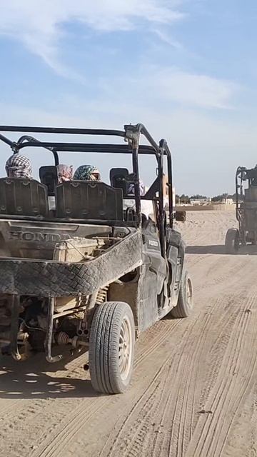 Сафари в Египте