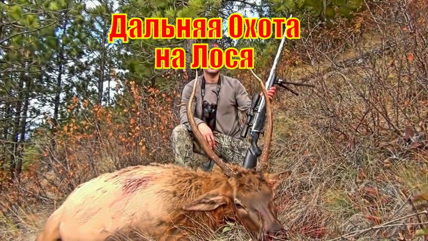 Дальняя Охота на Лося