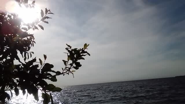 Берег Финского залива в Июле вечером.