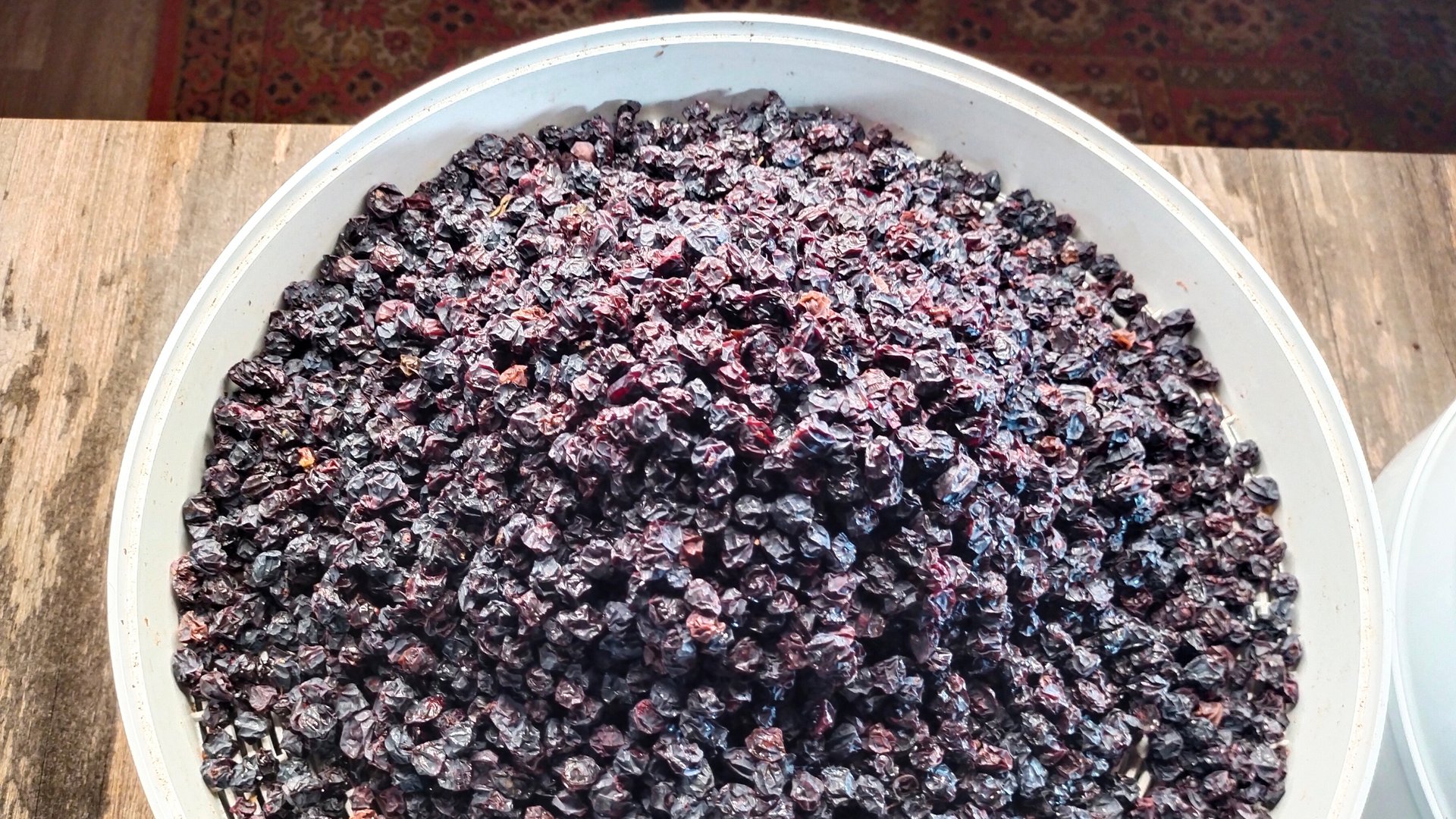 Виноград Изабелла, вырастила на даче.Сушу на зиму для изюма