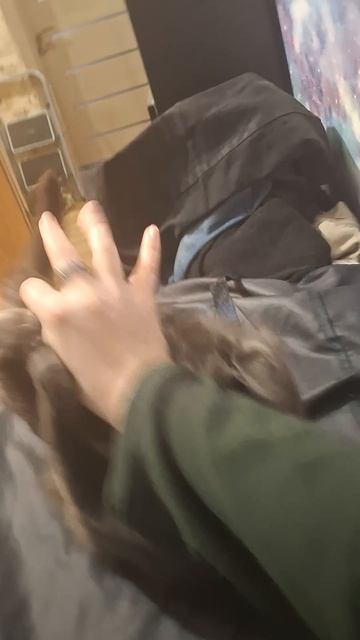 Самый долбанутый кот в мире