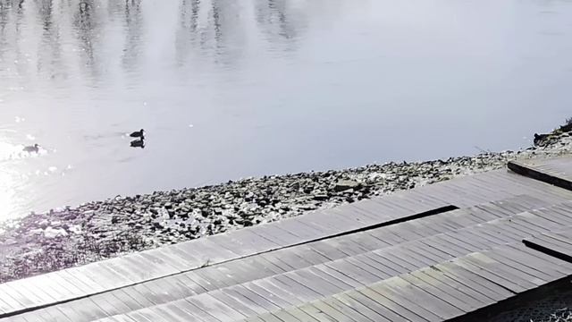 Летят утки… по мотивам русской народной песни   Видео Виктор Поживин