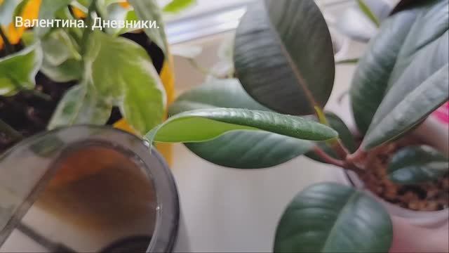 21.11.2025 Моменты дня- моменты жизни. Лайфстайл