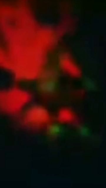 QSERF Meltdown Shutdown
Failure Soundtrack