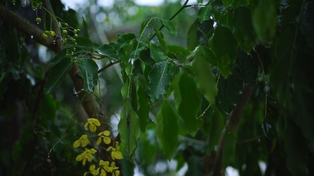Лечебная музыка ⛰️ Лучшая музыка для тебя 🌈 Закрой глаза и расслабься сейчас 🌊