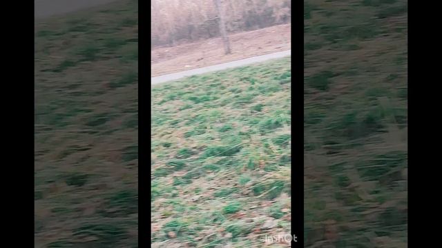 Последний тёплый осенний день. Красивый закат. Банный чан с подогревом.