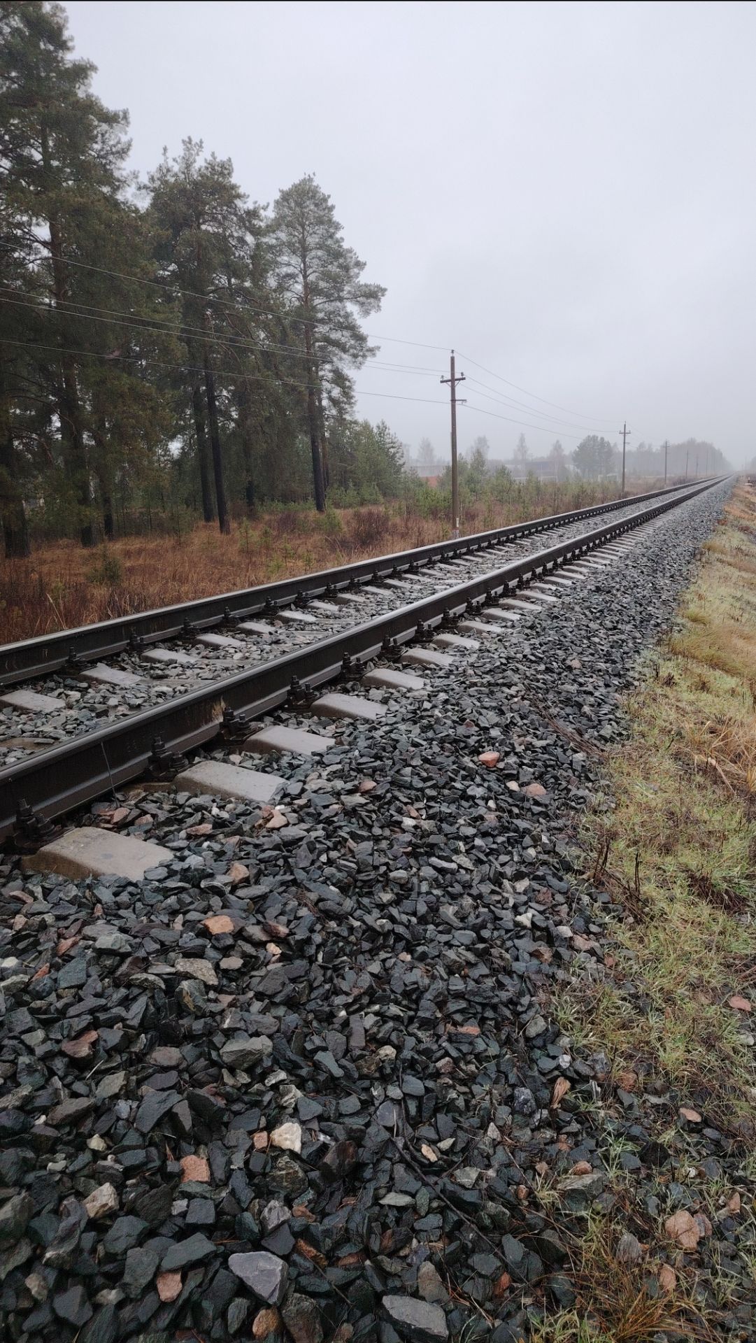 Железная дорога