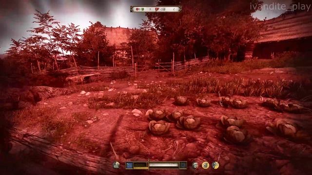 Прохождение Kingdom Come:Deliverance 2 # 5(Без Комментариев)