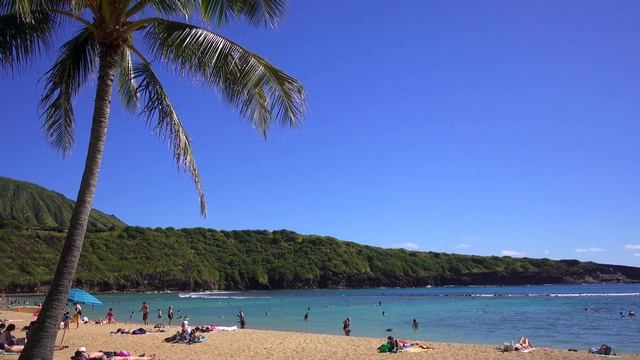 Отпусти все на свете и дыши 📽️ 60 минут отдыха 🌊 Музыка для души 🔊