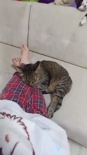 Хватит валяться!