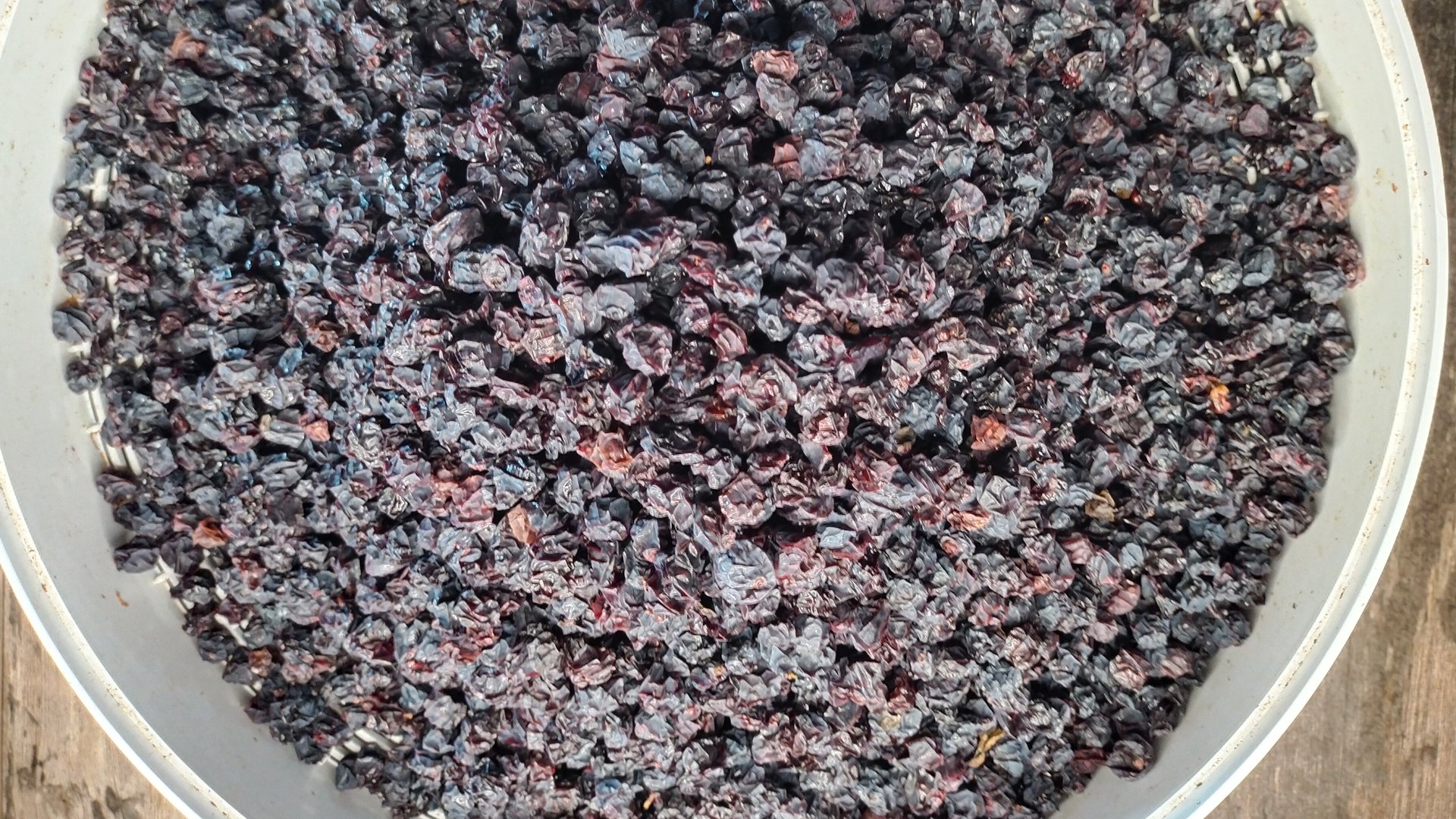 Виноград Изабелла сушу на даче. Получится свой изюм