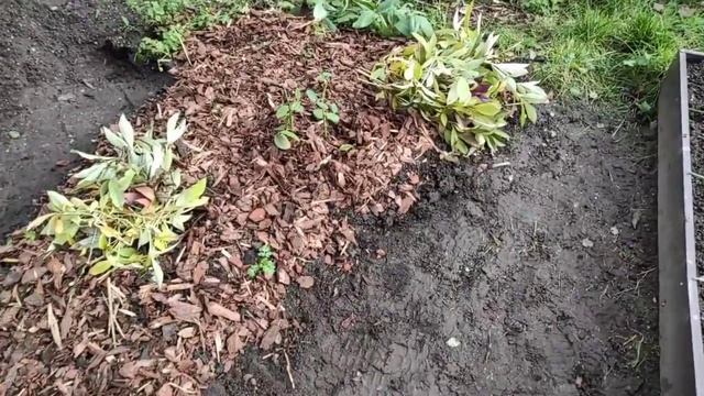 22-Дача..дождь снег красота😆