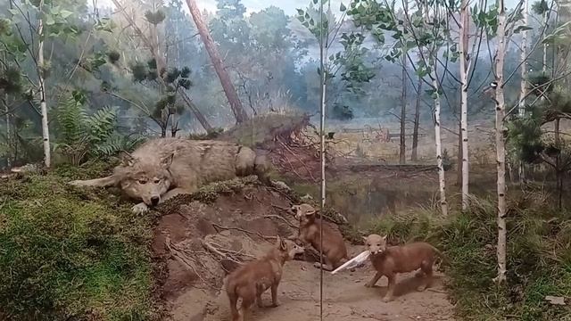 🏰Рязанский историко - архитектурный музей - заповедник🏰Что посетить в Рязани?🏰