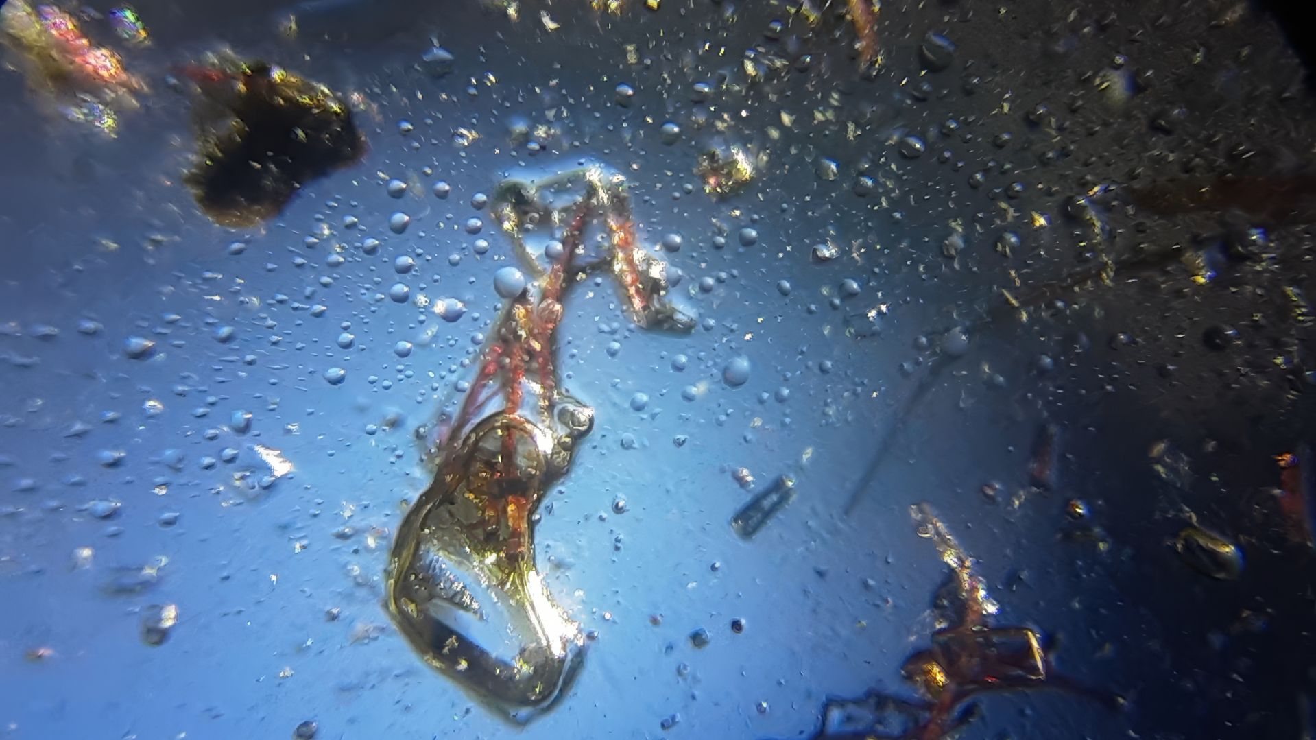 ПРАКТИКА_7      Pandas_Numpy_Matplotlib