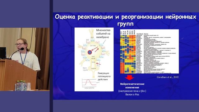 О.Е.Сварник. Клеточные интеграции и поведение: относительно чего специализирован нейрон