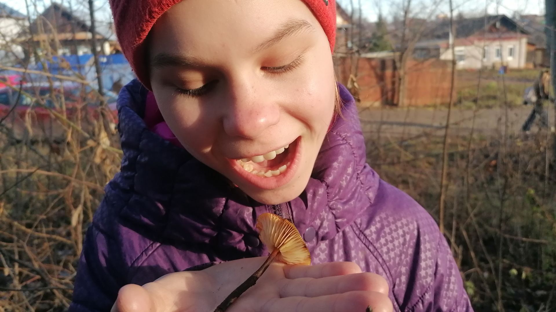 Больше За ГРИБАМИ в ЛЕС ходить не надо! Грибы в НОЯБРЕ!