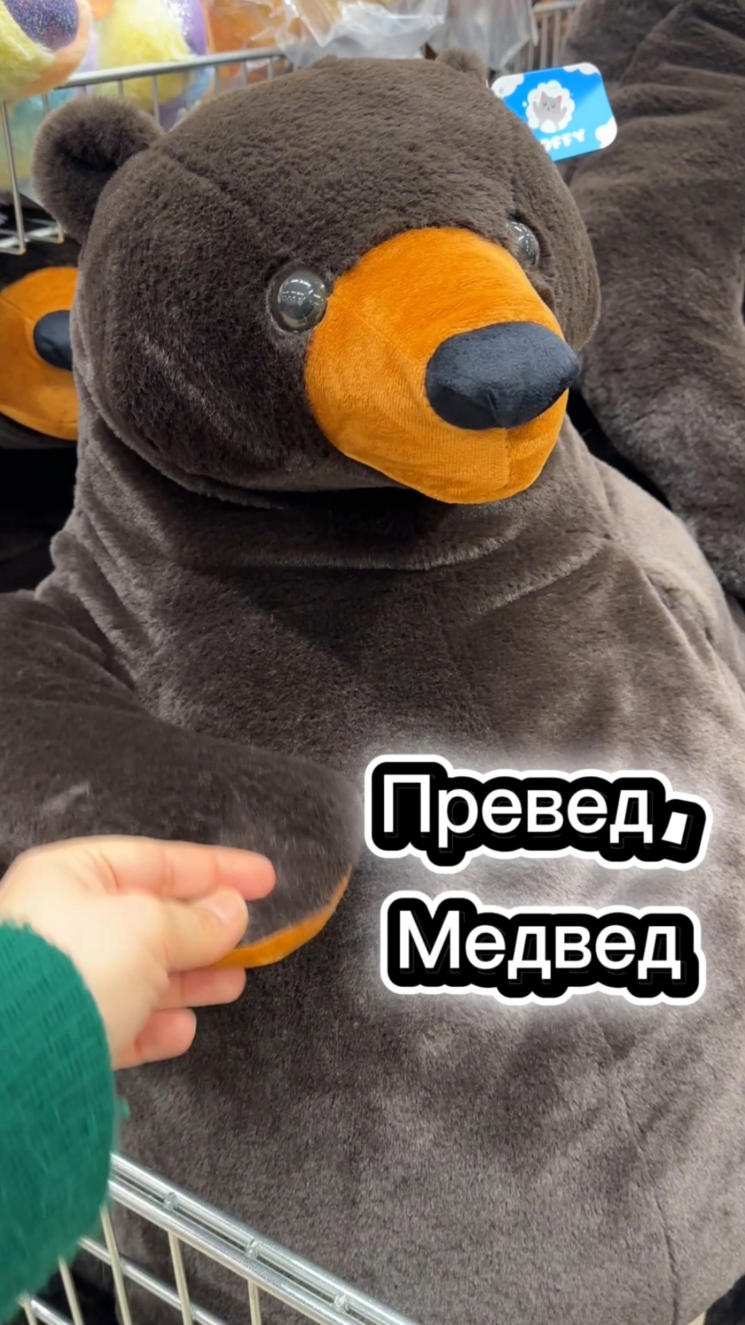 Дневник #НаНоРайМо 2025, день 22. #nanowrimo #писательство #написать_книгу  #нехватка_времени