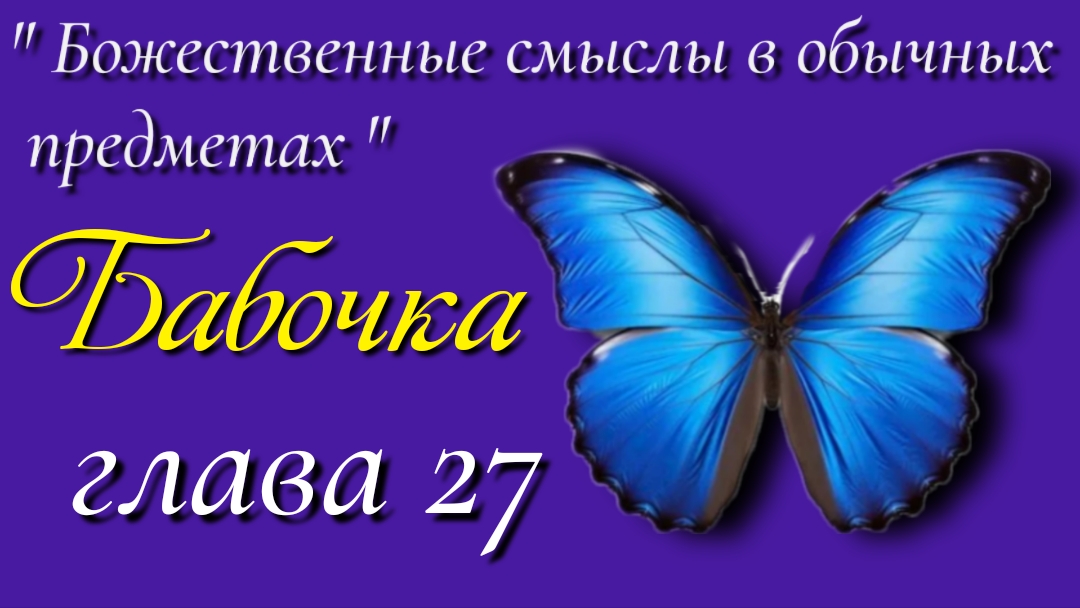 27) Бабочка