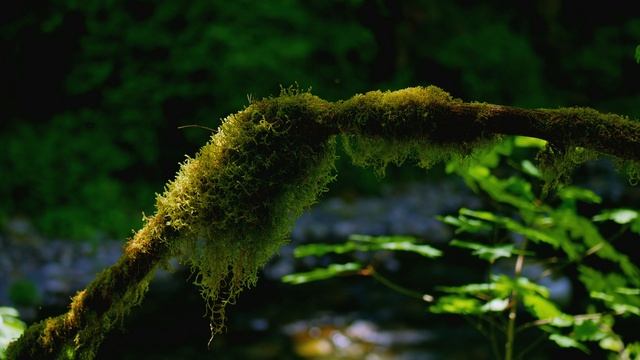 60 минут отдыха 🌊 Отдохни сейчас 🌴 100% гармонии для души тела 😃