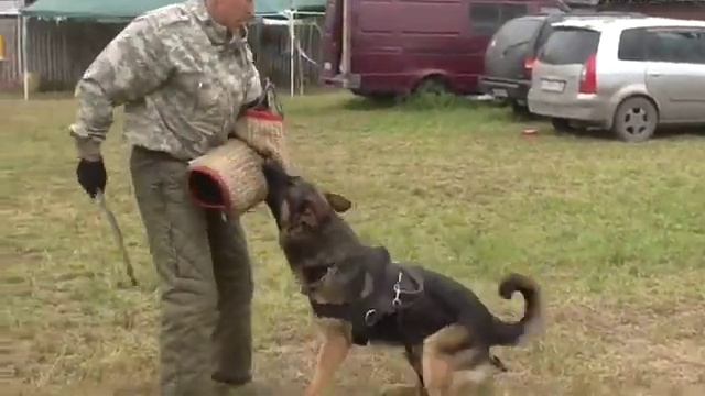 2014 г. Тренинг с А. Кротовым. Герман Из Тигровой Династии. Часть 2