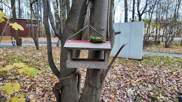 Долгие пруды 2025 10 23